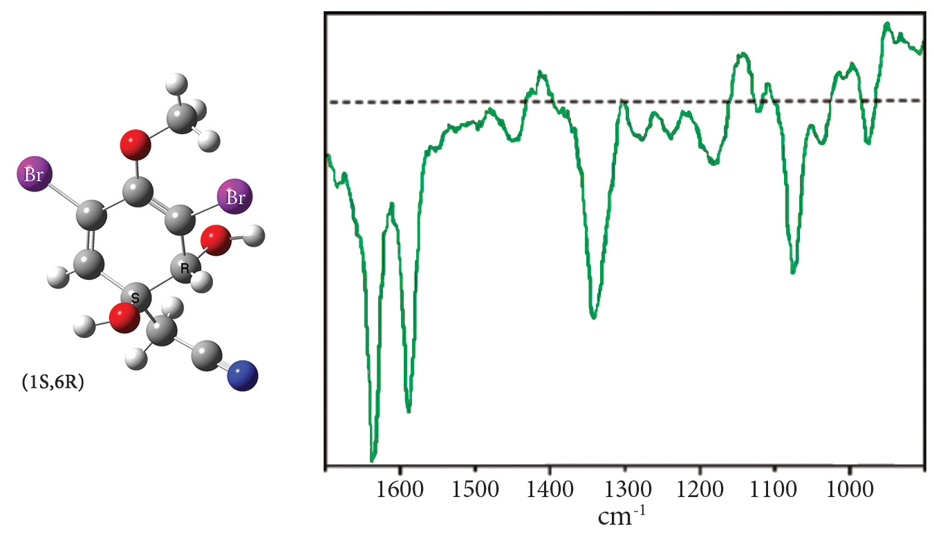 More About Conformational Averaging | Exploring Chemistry 3rd edition